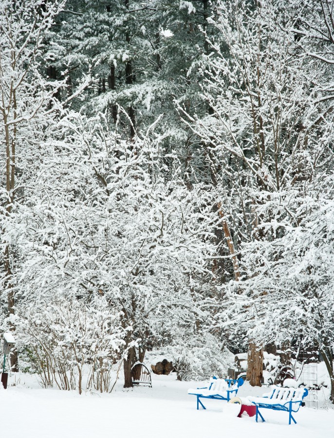 1st Snow of the Season in NY